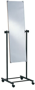 Mobile Posture Mirror - Phoenix Physio Supplies