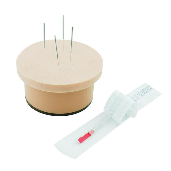 DongBang DB100 Acupuncture Needles X 100 - Phoenix Physio Supplies
