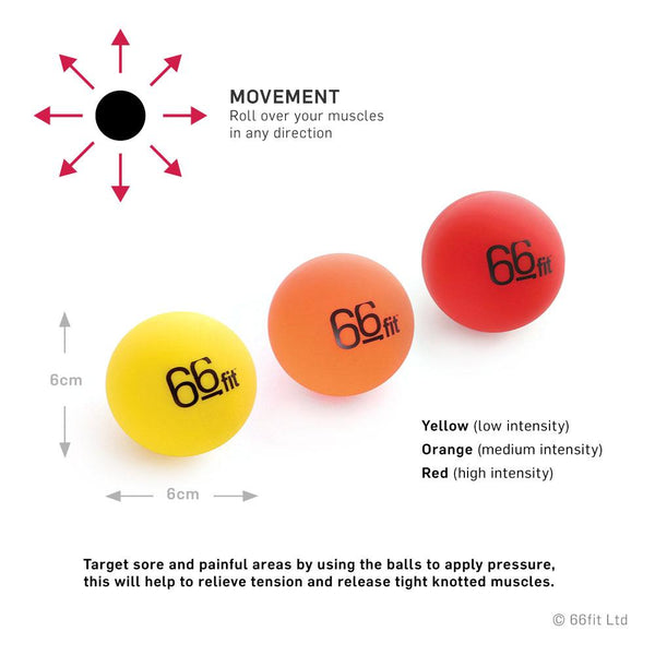 66fit Acupressure Trigger Point Massage Balls - Phoenix Physio Supplies
